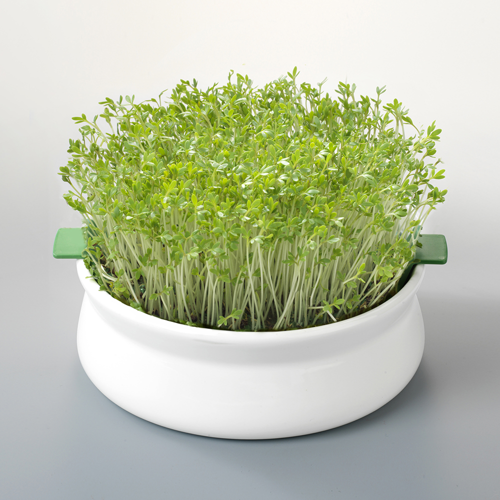 Vas de ceramica cu sita pentru germinare seminte mucilaginoase Germline