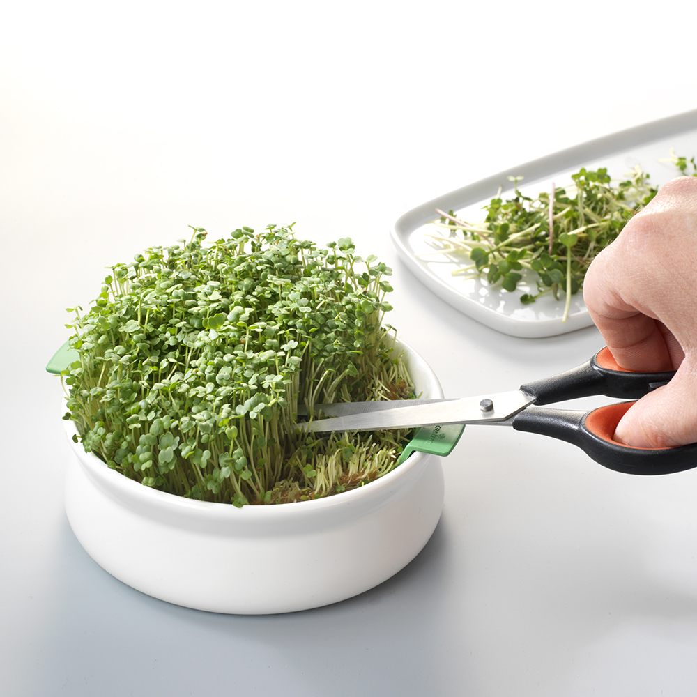 Vas de ceramica cu sita pentru germinare seminte mucilaginoase Germline